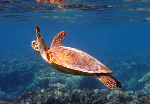 travelwithjamesdean.ca